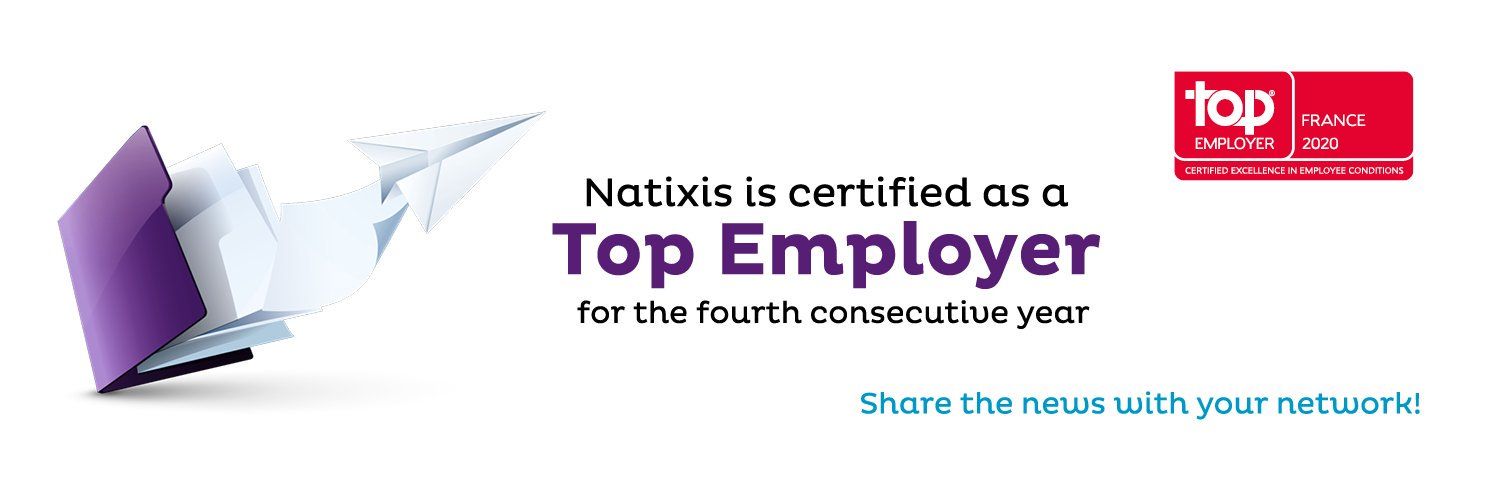 Natixis Logo & Brand Assets (SVG, PNG and vector) - Brandfetch