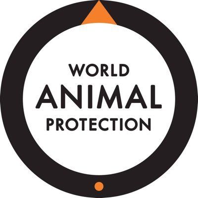 World Animal Protection Logo & Brand Assets (SVG, PNG and vector ...