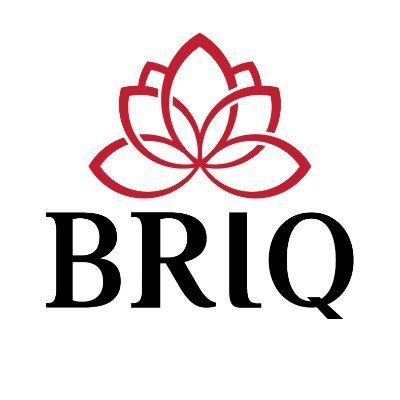 BRIQ Logo & Brand Assets (SVG, PNG and vector) - Brandfetch