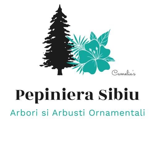 Sibiu Logo