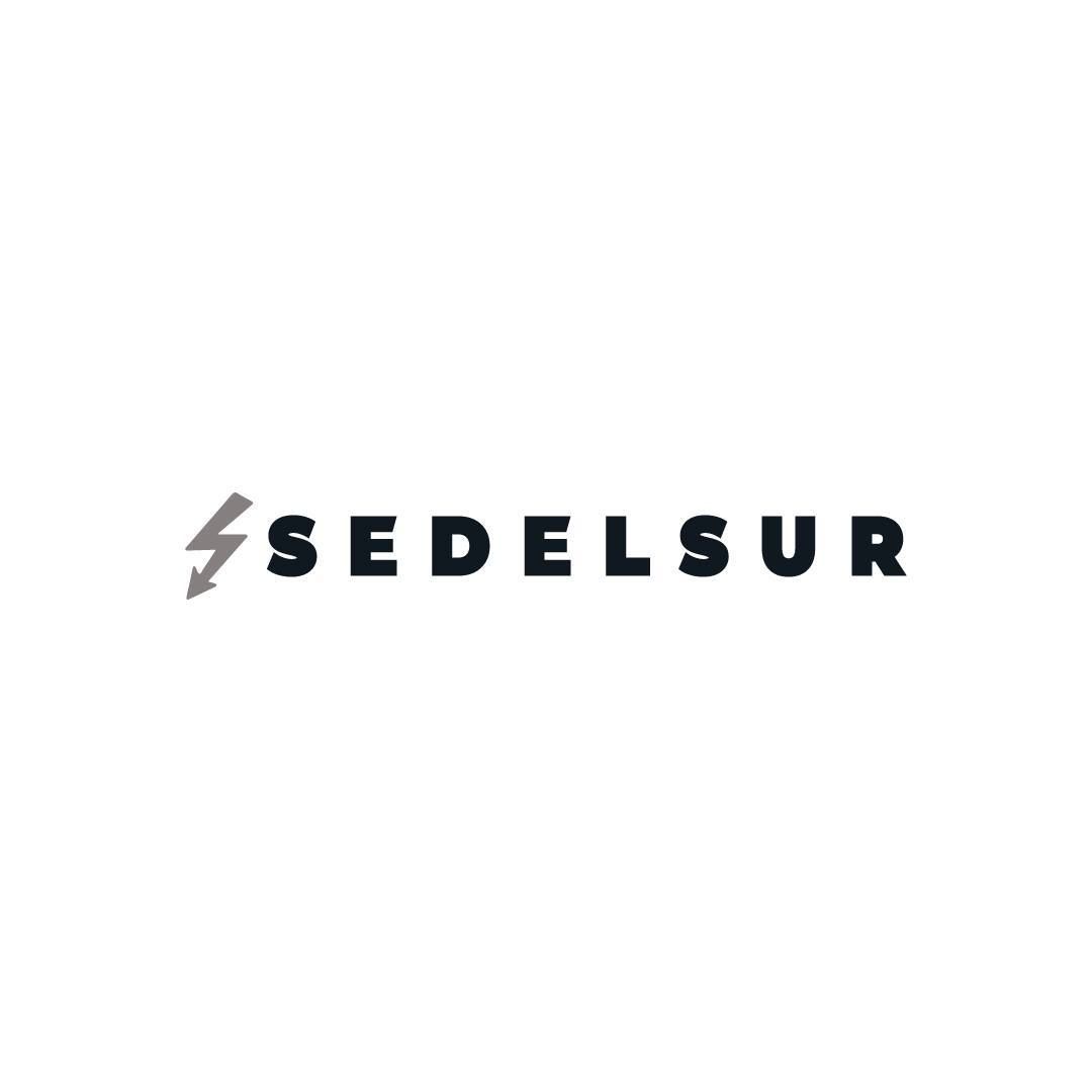 Sedelsur SL Logo & Brand Assets (SVG, PNG and vector) - Brandfetch