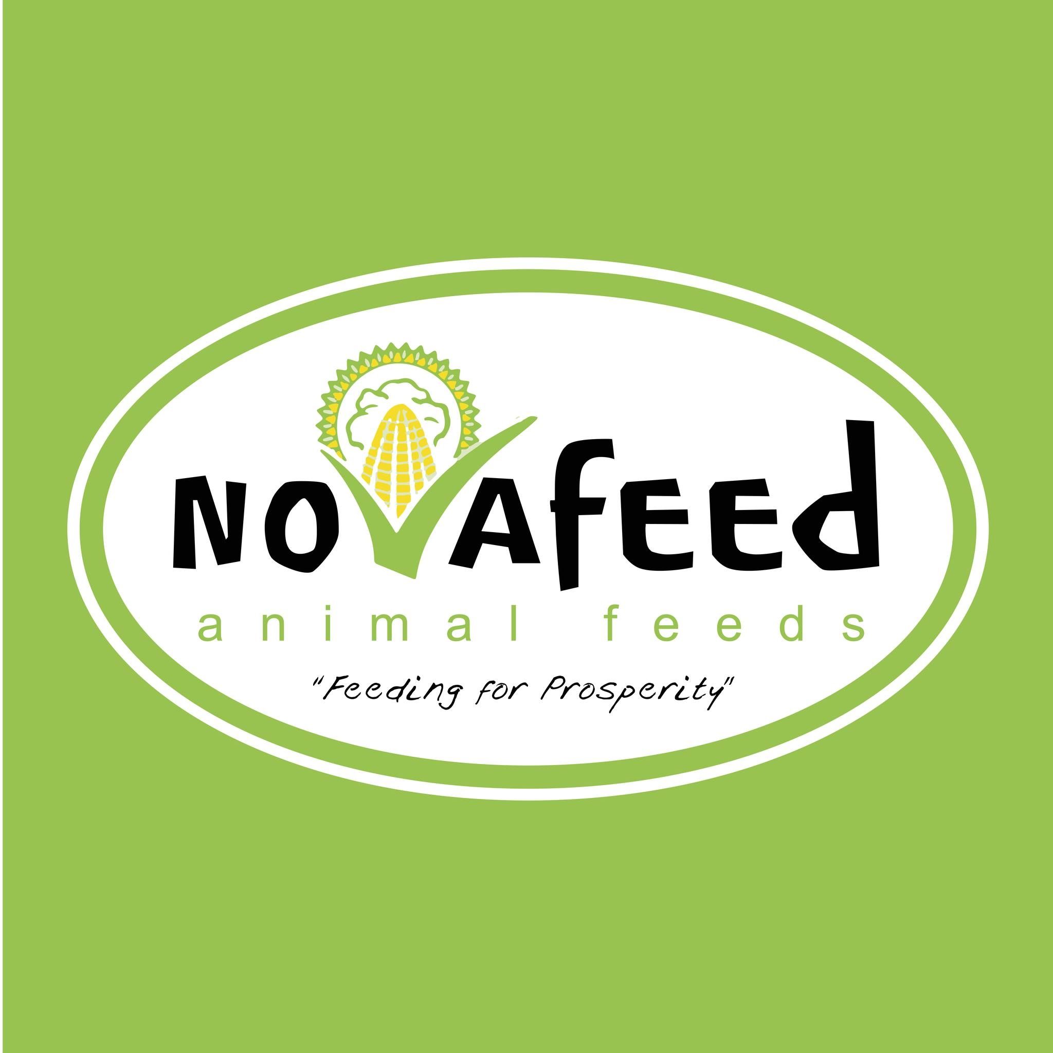 Novafeed Logo & Brand Assets (SVG, PNG and vector) - Brandfetch