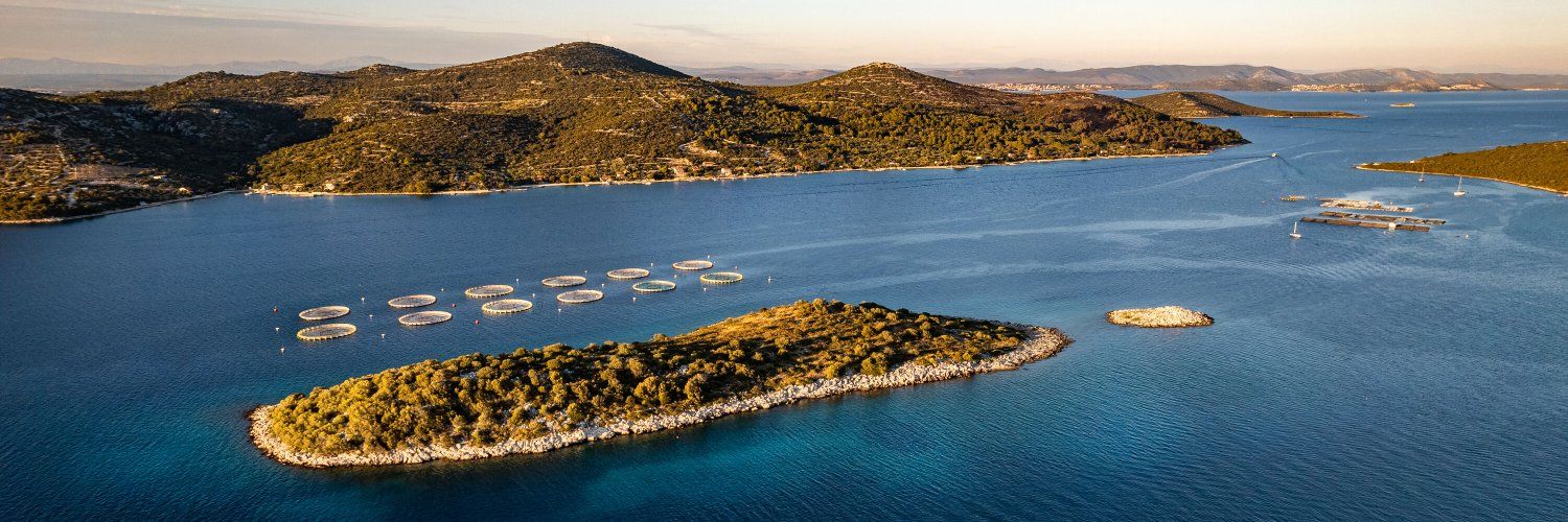 ASC Logo & Brand Assets (SVG, PNG and vector) - Brandfetch