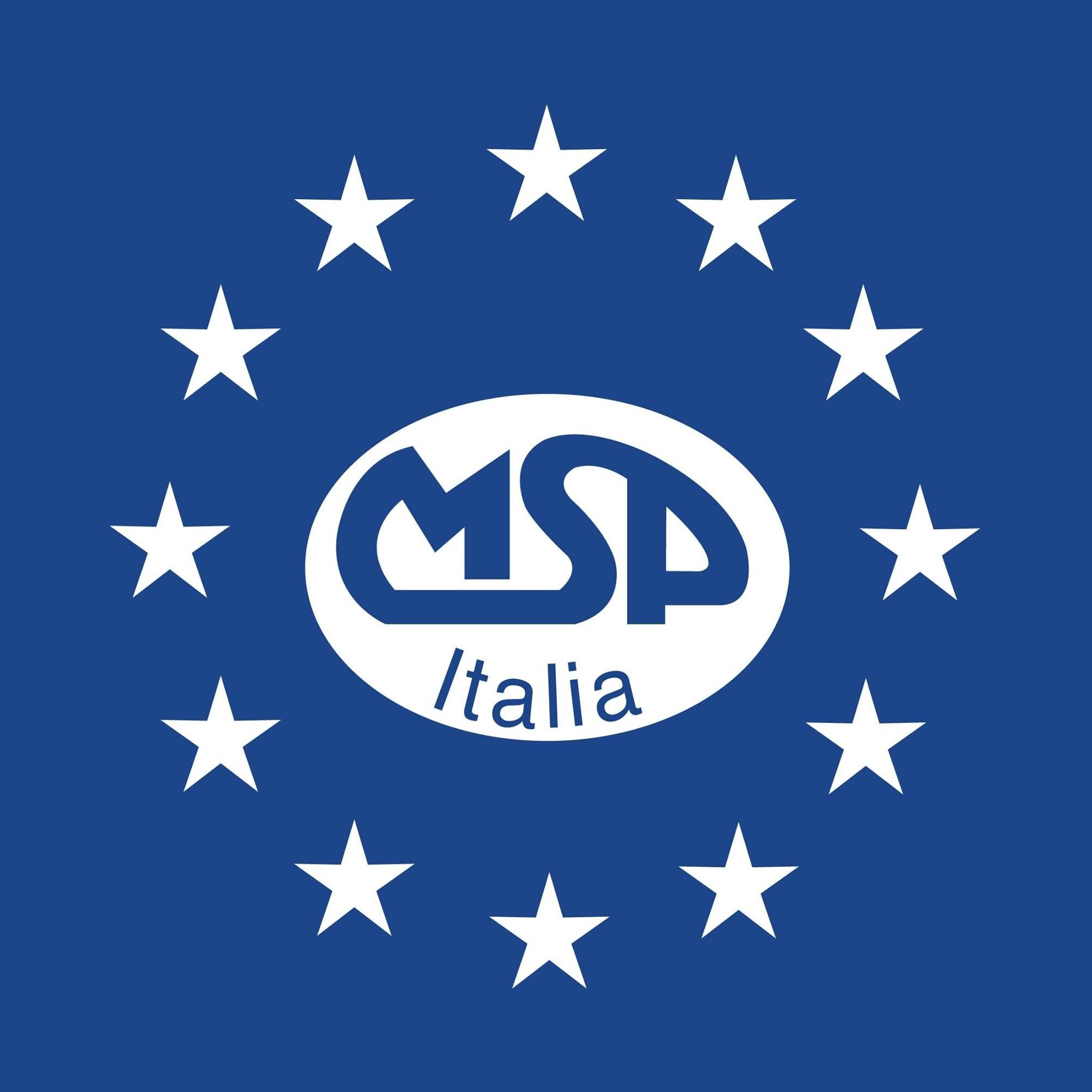 MSP Italia Logo & Brand Assets (SVG, PNG and vector) - Brandfetch
