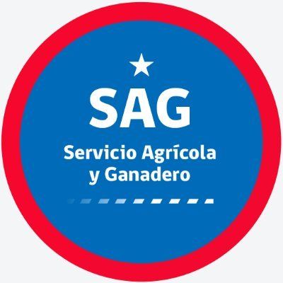 SAG Logo & Brand Assets (SVG, PNG and vector) - Brandfetch