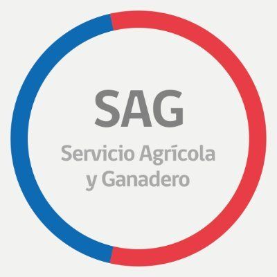 SAG Logo & Brand Assets (SVG, PNG and vector) - Brandfetch