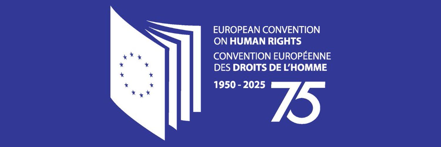 Council of Europe Logo & Brand Assets (SVG, PNG and vector) - Brandfetch