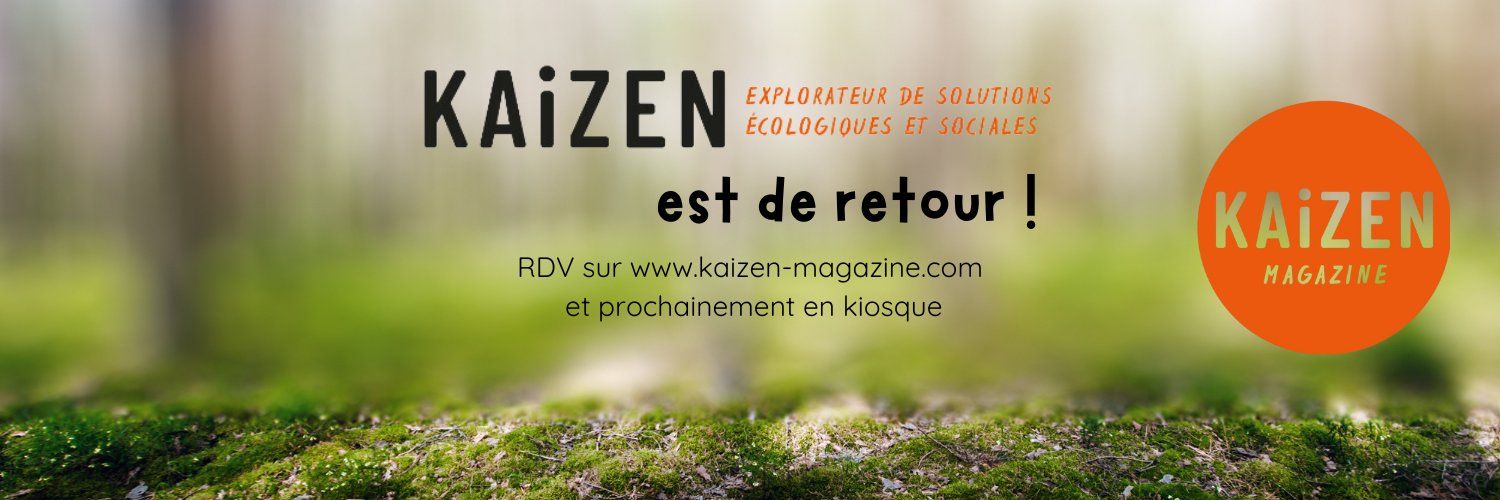 Kaizen Logo & Brand Assets (SVG, PNG and vector) - Brandfetch
