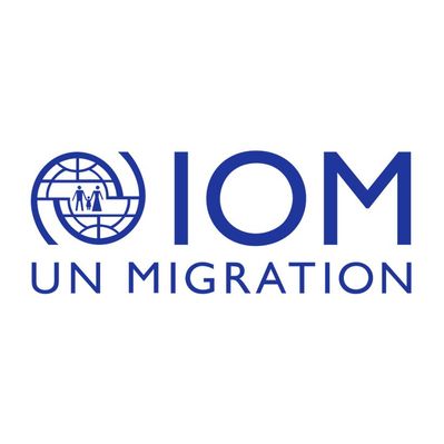 IOM Logo & Brand Assets (SVG, PNG and vector) - Brandfetch