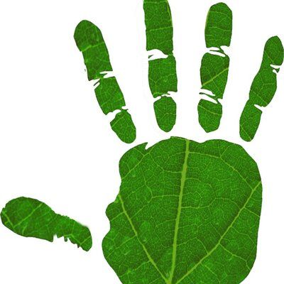 Hands-On Institute Logo & Brand Assets (SVG, PNG and vector) - Brandfetch