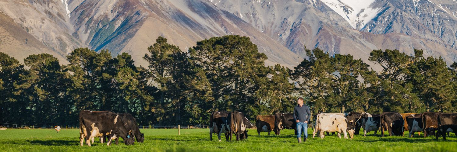 Fonterra Logo & Brand Assets (SVG, PNG and vector) - Brandfetch