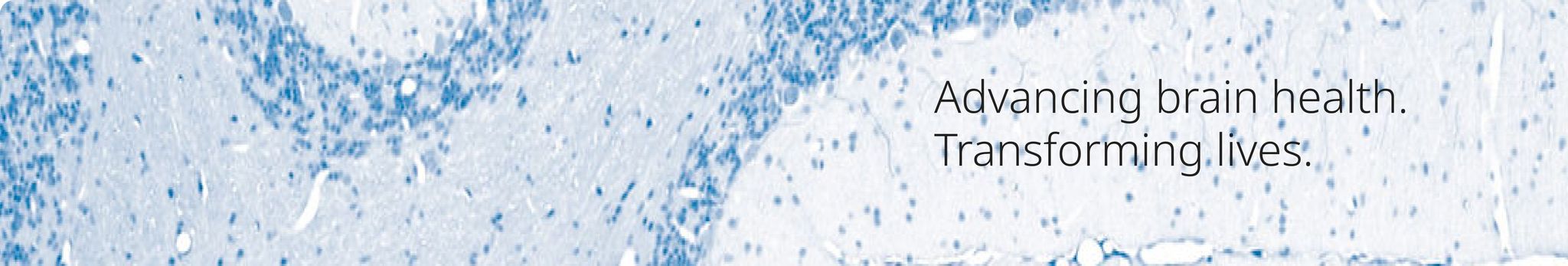 Lundbeck Logo & Brand Assets (SVG, PNG and vector) - Brandfetch