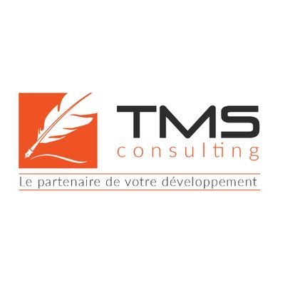 TMS Consulting Logo & Brand Assets (SVG, PNG and vector) - Brandfetch