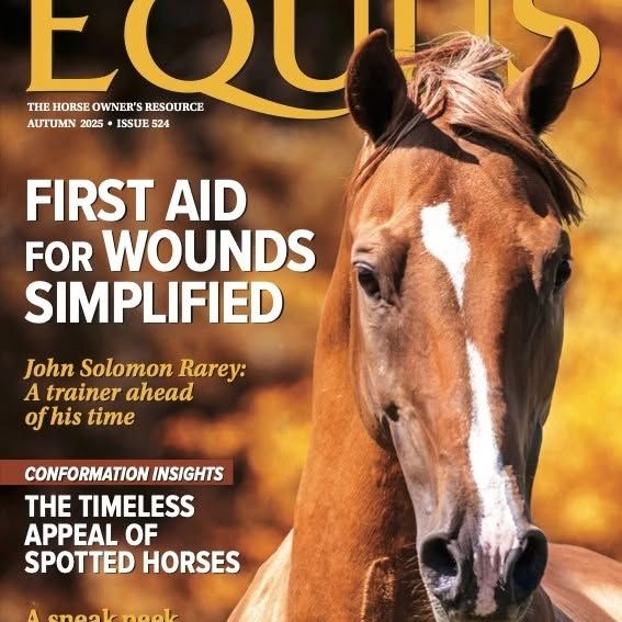 Equus Magazine Logo & Brand Assets (SVG, PNG and vector) - Brandfetch