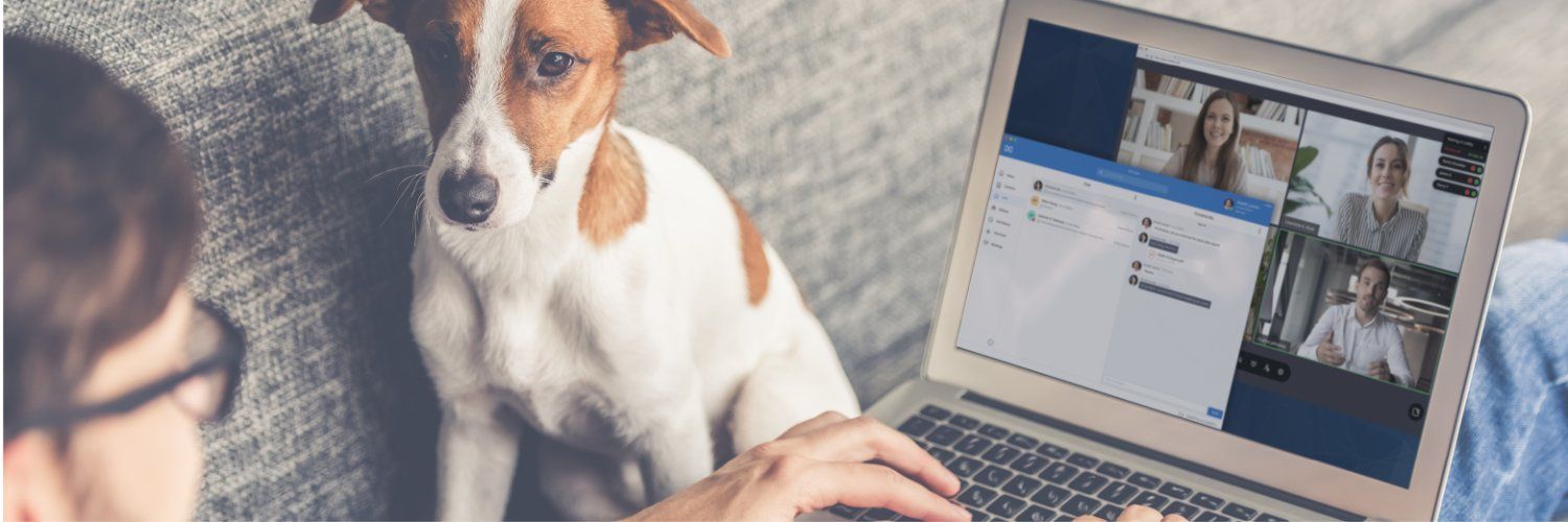 Mitel Logo & Brand Assets (SVG, PNG and vector) - Brandfetch