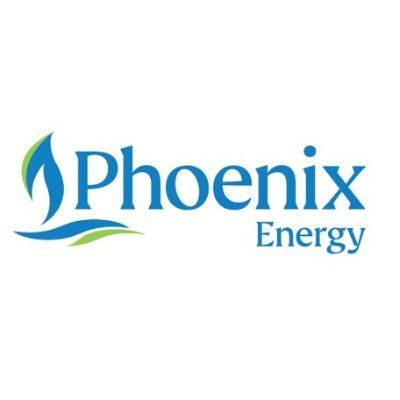 phoenix battery logo vector