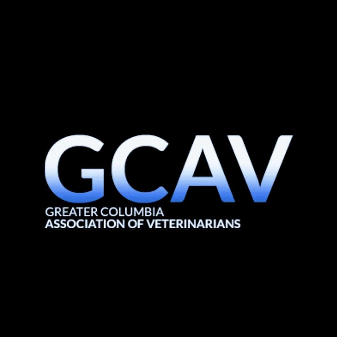 GCAV Logo & Brand Assets (SVG, PNG and vector) - Brandfetch