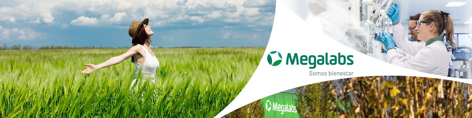 Megalabs Logo & Brand Assets (SVG, PNG and vector) - Brandfetch