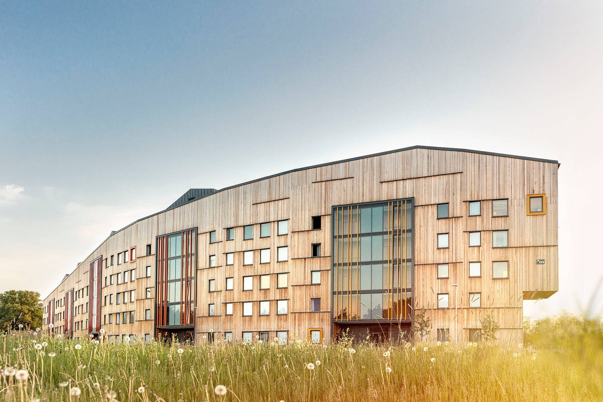 Sweco Logo & Brand Assets (SVG, PNG and vector) - Brandfetch