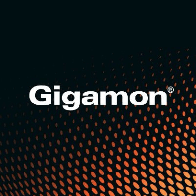 Gigamon Logo & Brand Assets (SVG, PNG and vector) - Brandfetch
