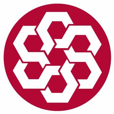 IFRS Foundation Logo & Brand Assets (SVG, PNG and vector) - Brandfetch