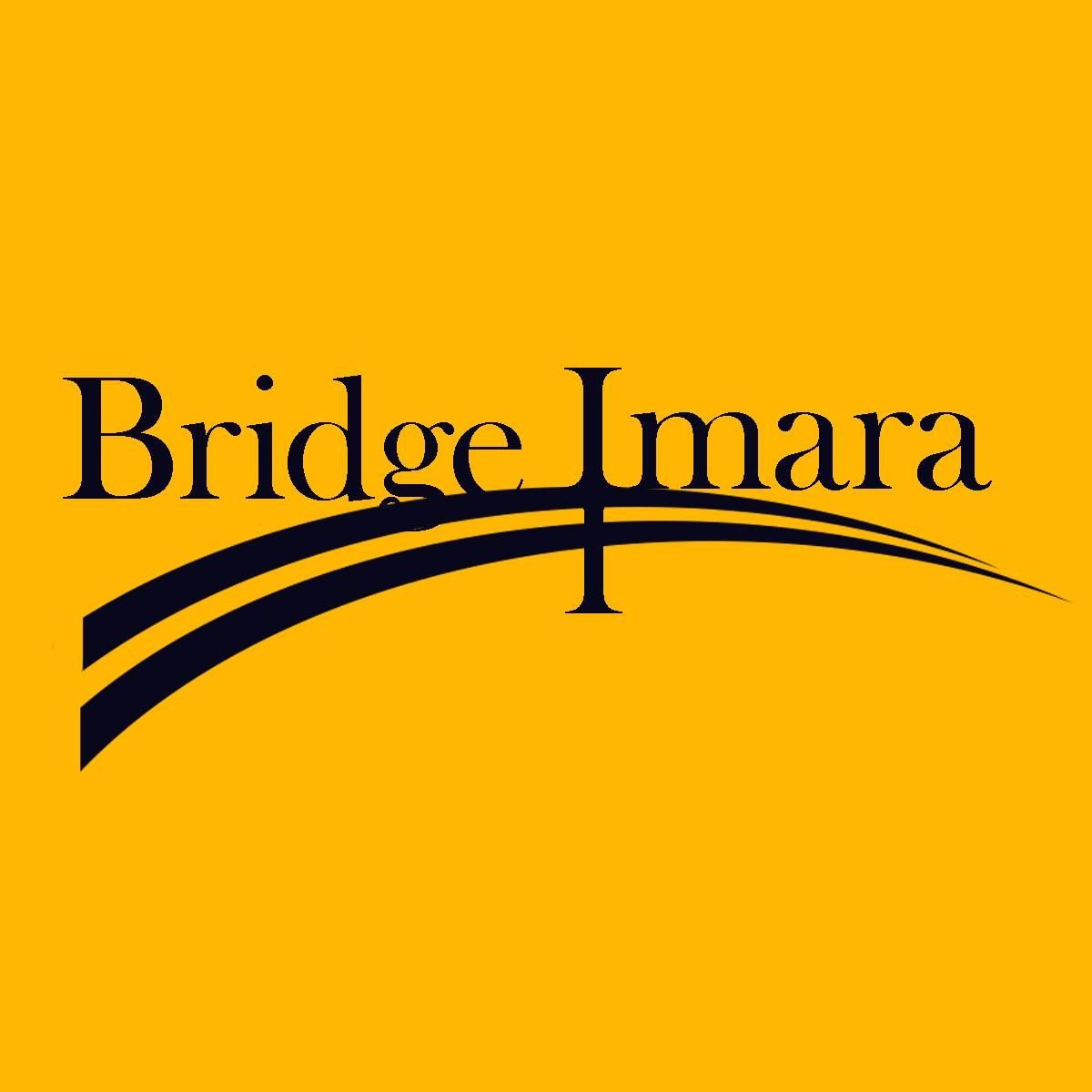 Bridge Imara Services Logo & Brand Assets (SVG, PNG and vector ...