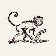 monkey 47 logo vector