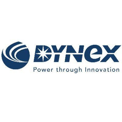 dynex logo vector