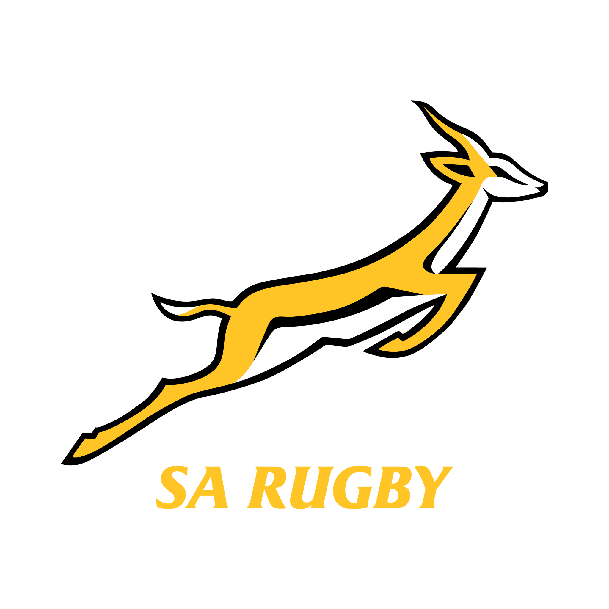 Springboks Logo & Brand Assets (SVG, PNG and vector) - Brandfetch