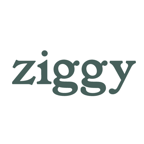 Ziggy Logo & Brand Assets (SVG, PNG and vector) - Brandfetch