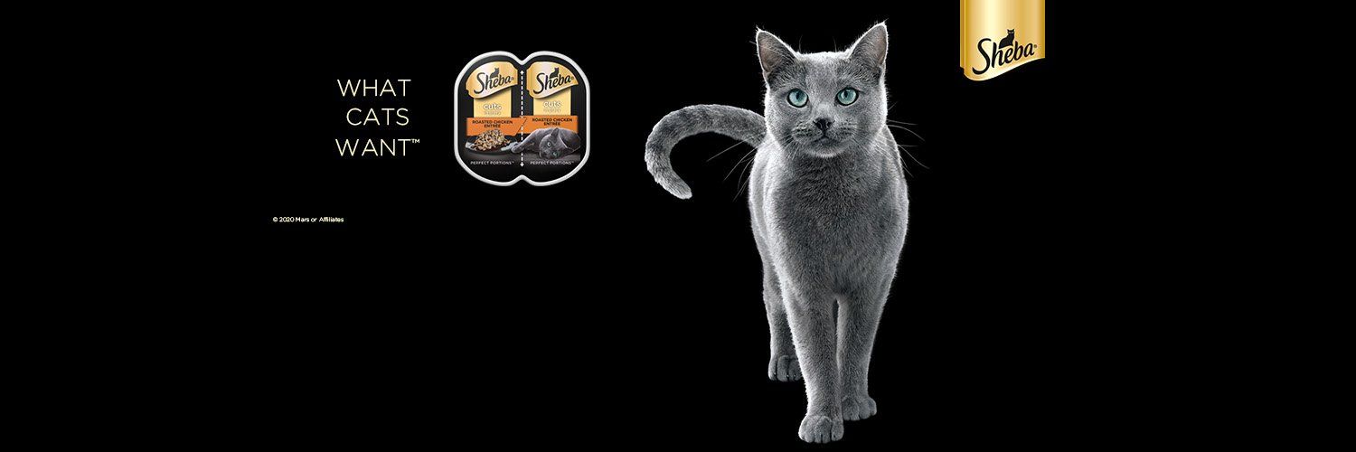 SHEBA Logo & Brand Assets (SVG, PNG and vector) - Brandfetch