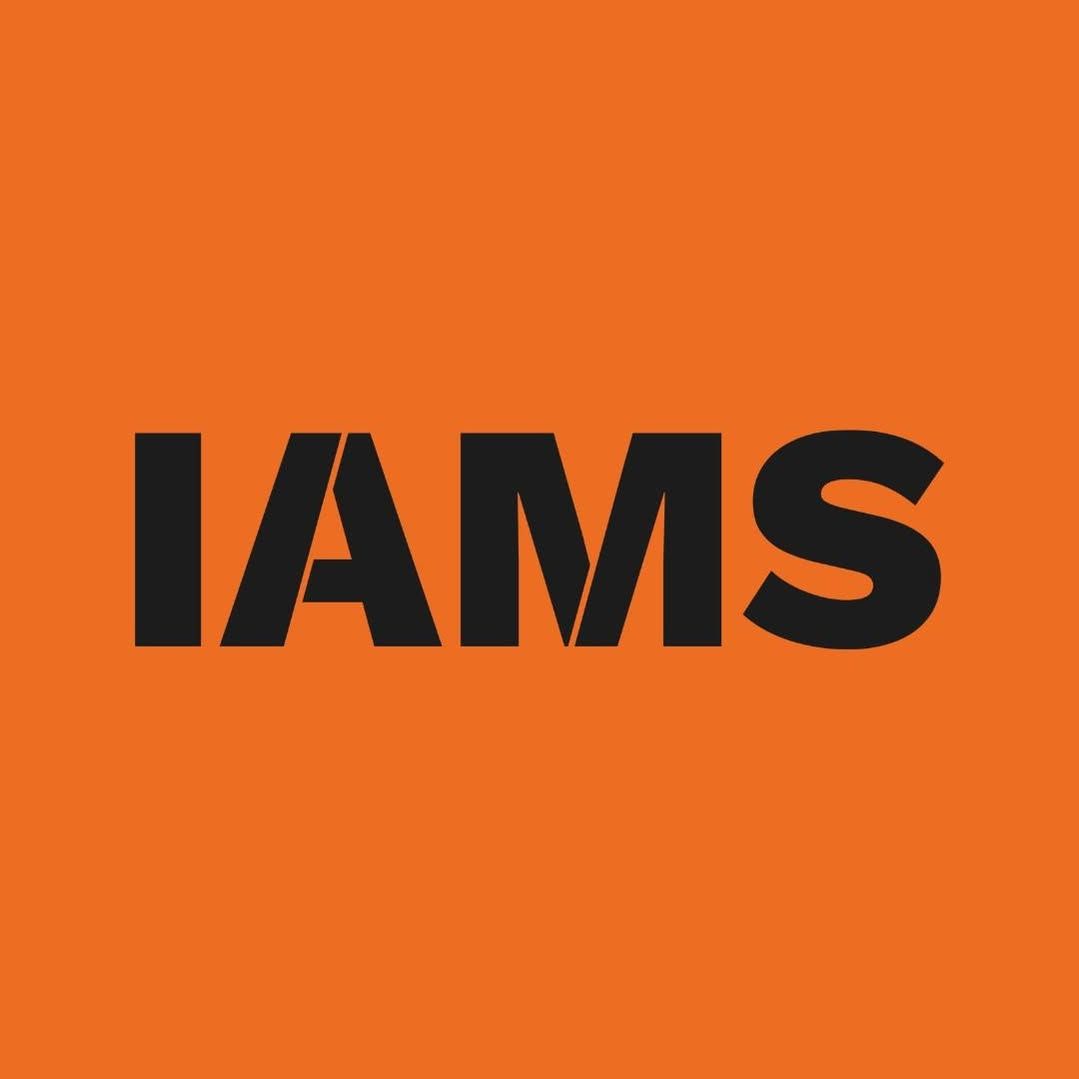 iams logo font