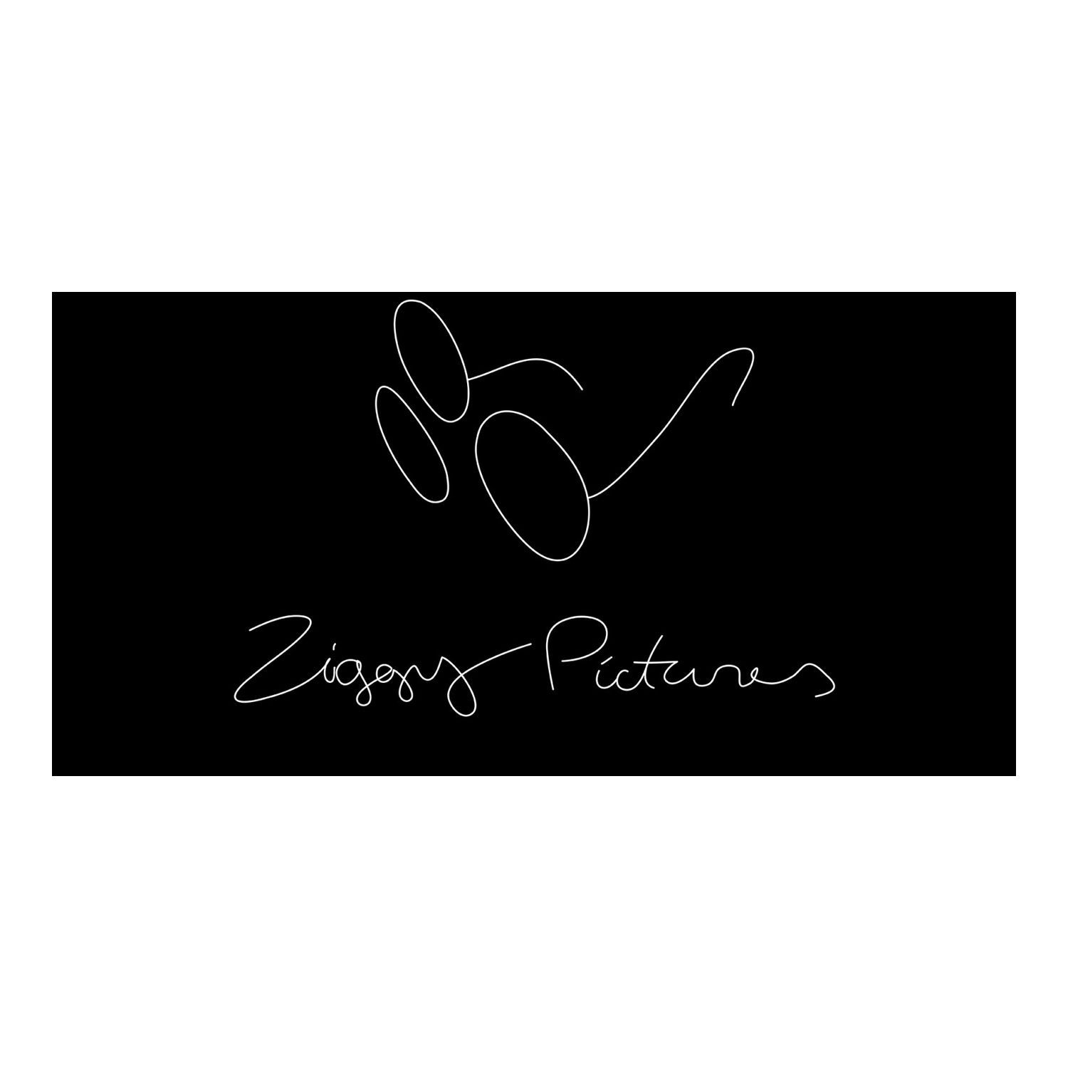 Ziggy Pictures’ Logo & Brand Assets (SVG, PNG and vector) - Brandfetch