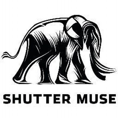Shutter Muse Logo & Brand Assets (SVG, PNG and vector) - Brandfetch