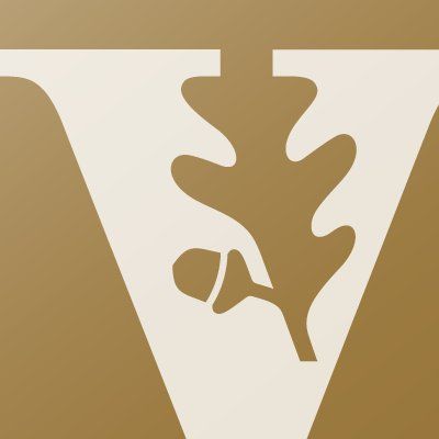 Vanderbilt Health Logo & Brand Assets (SVG, PNG and vector) - Brandfetch