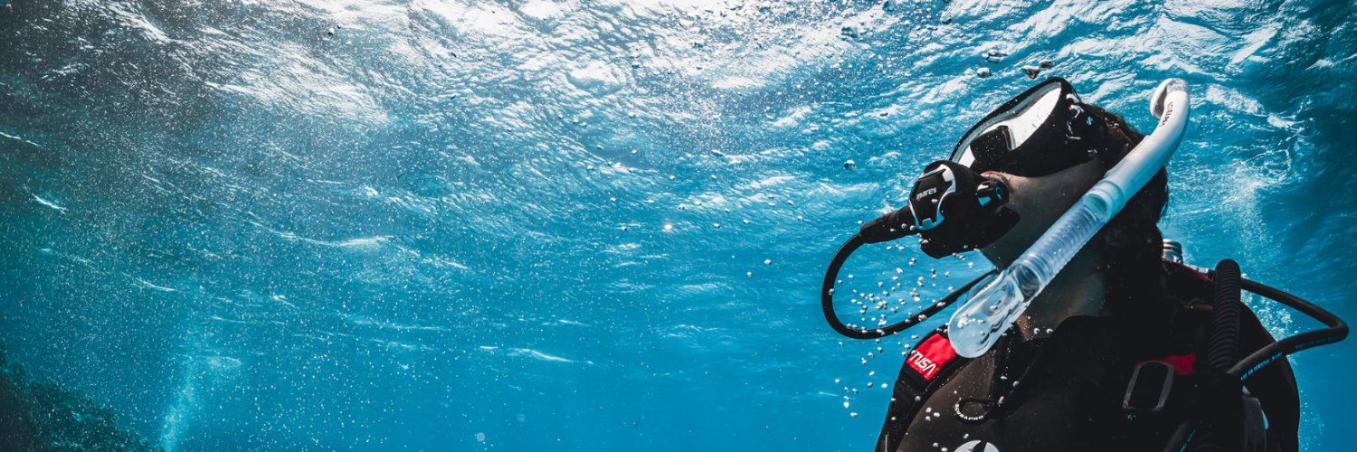 PADI Logo & Brand Assets (SVG, PNG and vector) - Brandfetch