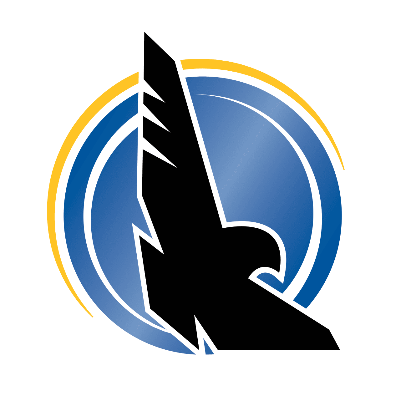 Blackhawk Logo & Brand Assets (SVG, PNG and vector) - Brandfetch