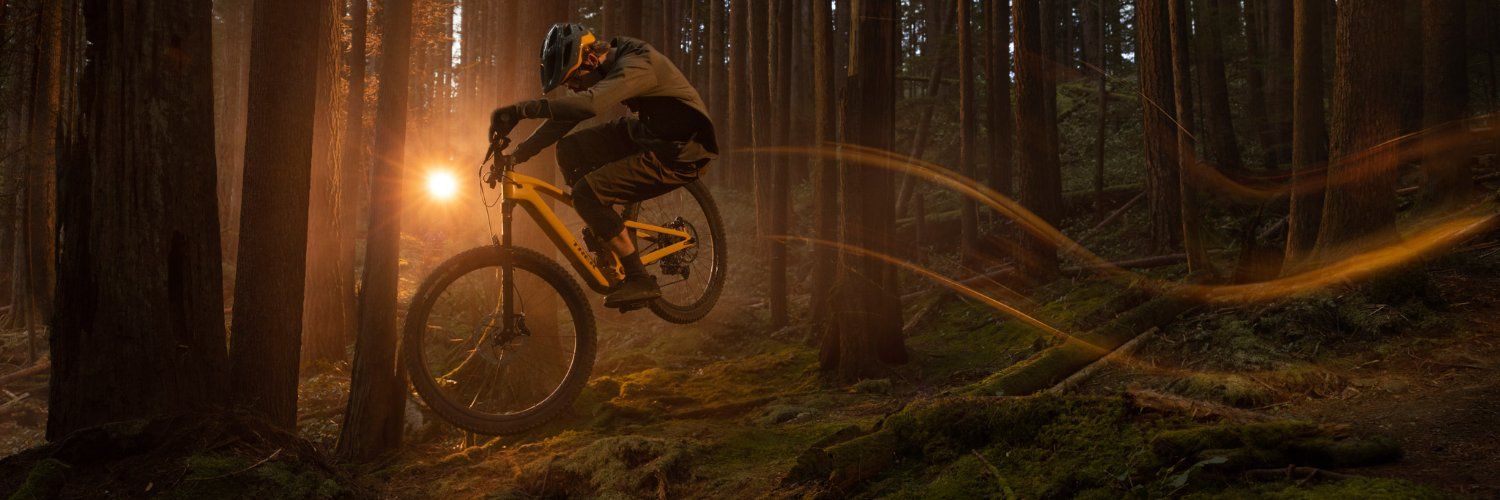 Trek Bicycle Logo & Brand Assets (SVG, PNG and vector) - Brandfetch