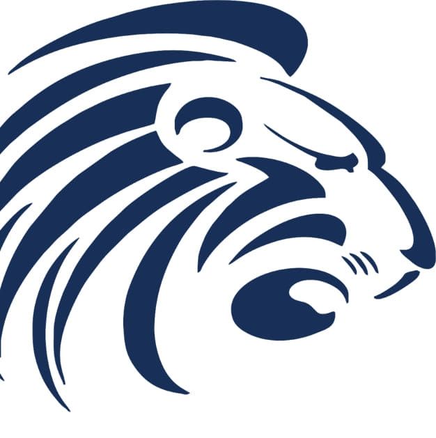 AL Laith Group Logo & Brand Assets (SVG, PNG and vector) - Brandfetch