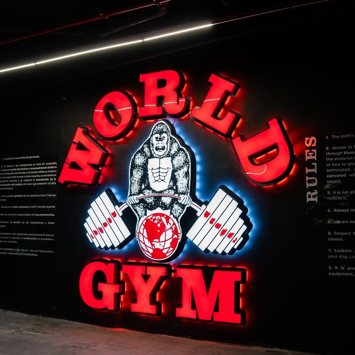 world gym logo vector