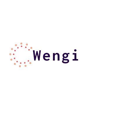 Wengi Logo & Brand Assets (SVG, PNG and vector) - Brandfetch