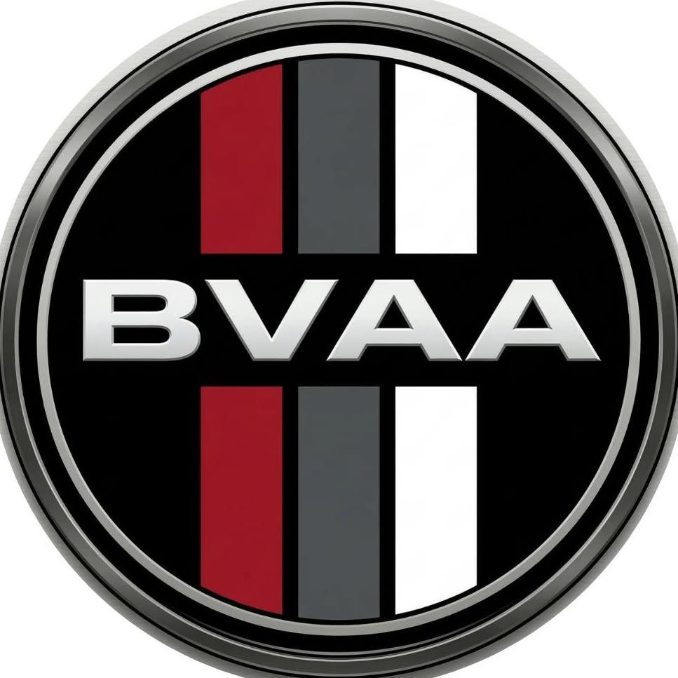 Big Valley Auto Auction Logo & Brand Assets (SVG, PNG and vector ...