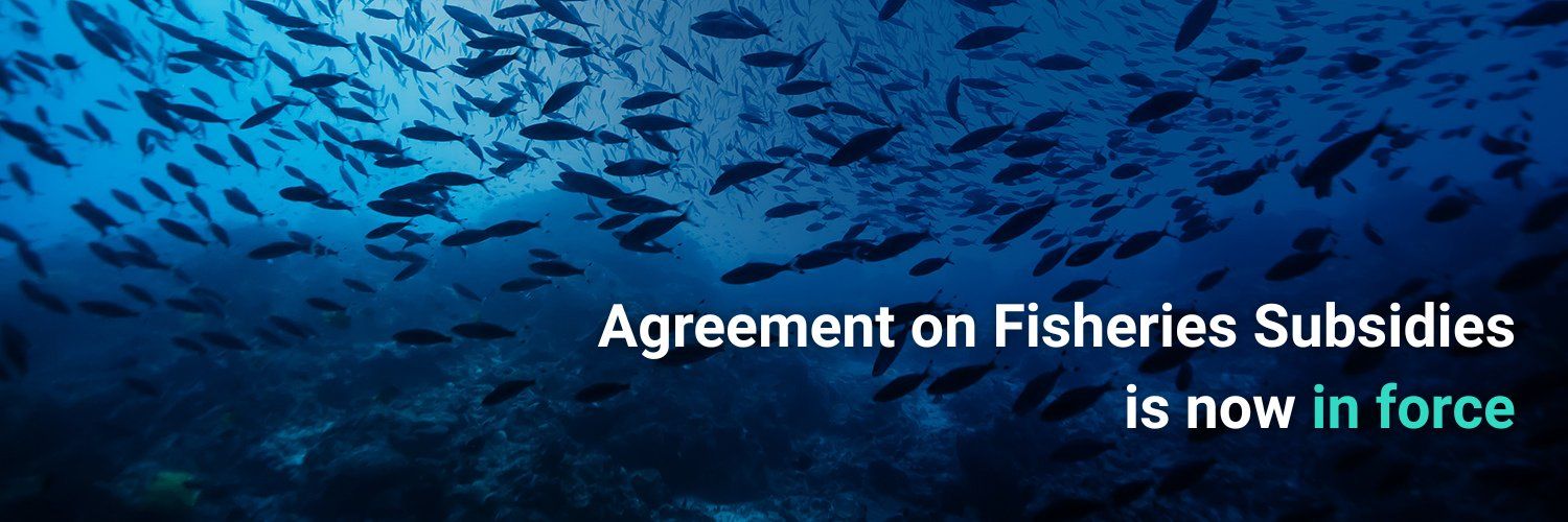 WTO Logo & Brand Assets (SVG, PNG and vector) - Brandfetch