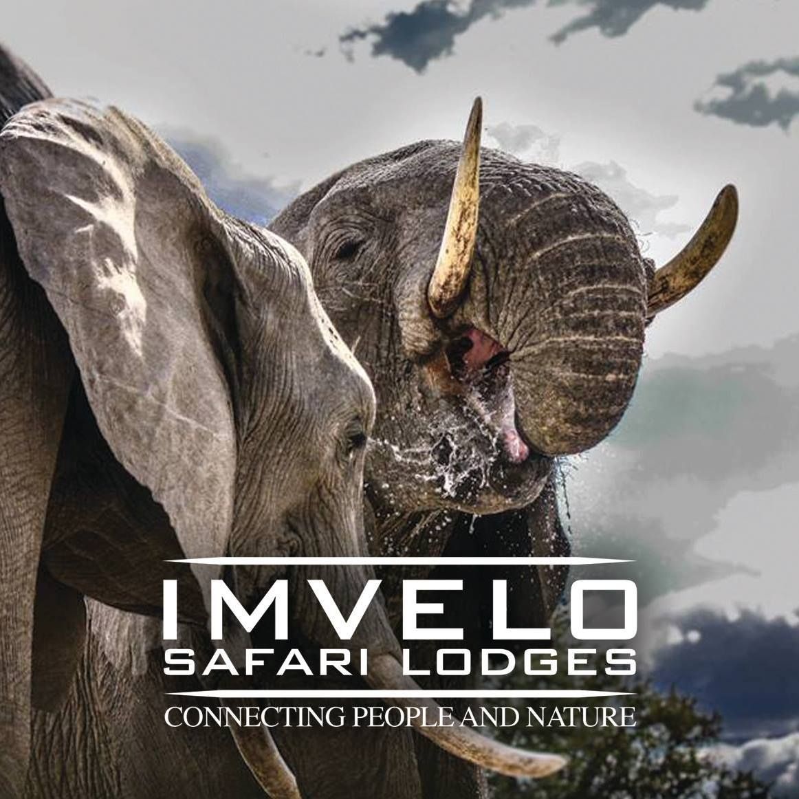 Imvelo Safari Lodges Logo & Brand Assets (SVG, PNG and vector) - Brandfetch