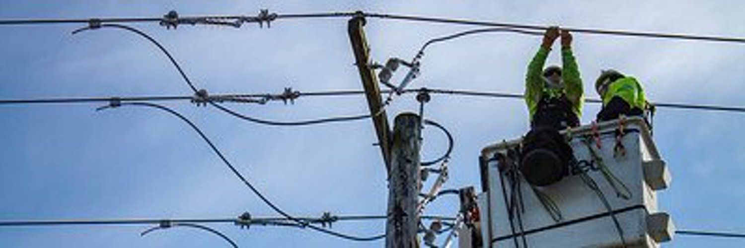 PSE Logo & Brand Assets (SVG, PNG and vector) - Brandfetch