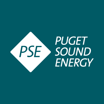PSE Logo & Brand Assets (SVG, PNG and vector) - Brandfetch