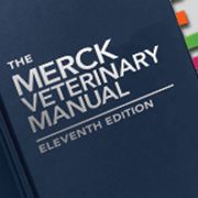 Merck Veterinary Manual Logo & Brand Assets (SVG, PNG and vector ...