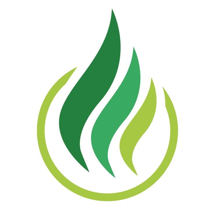 Ecogas Logo & Brand Assets (SVG, PNG and vector) - Brandfetch