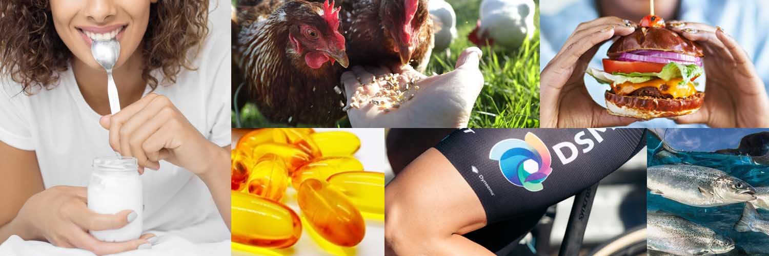 DSM Logo & Brand Assets (SVG, PNG and vector) - Brandfetch