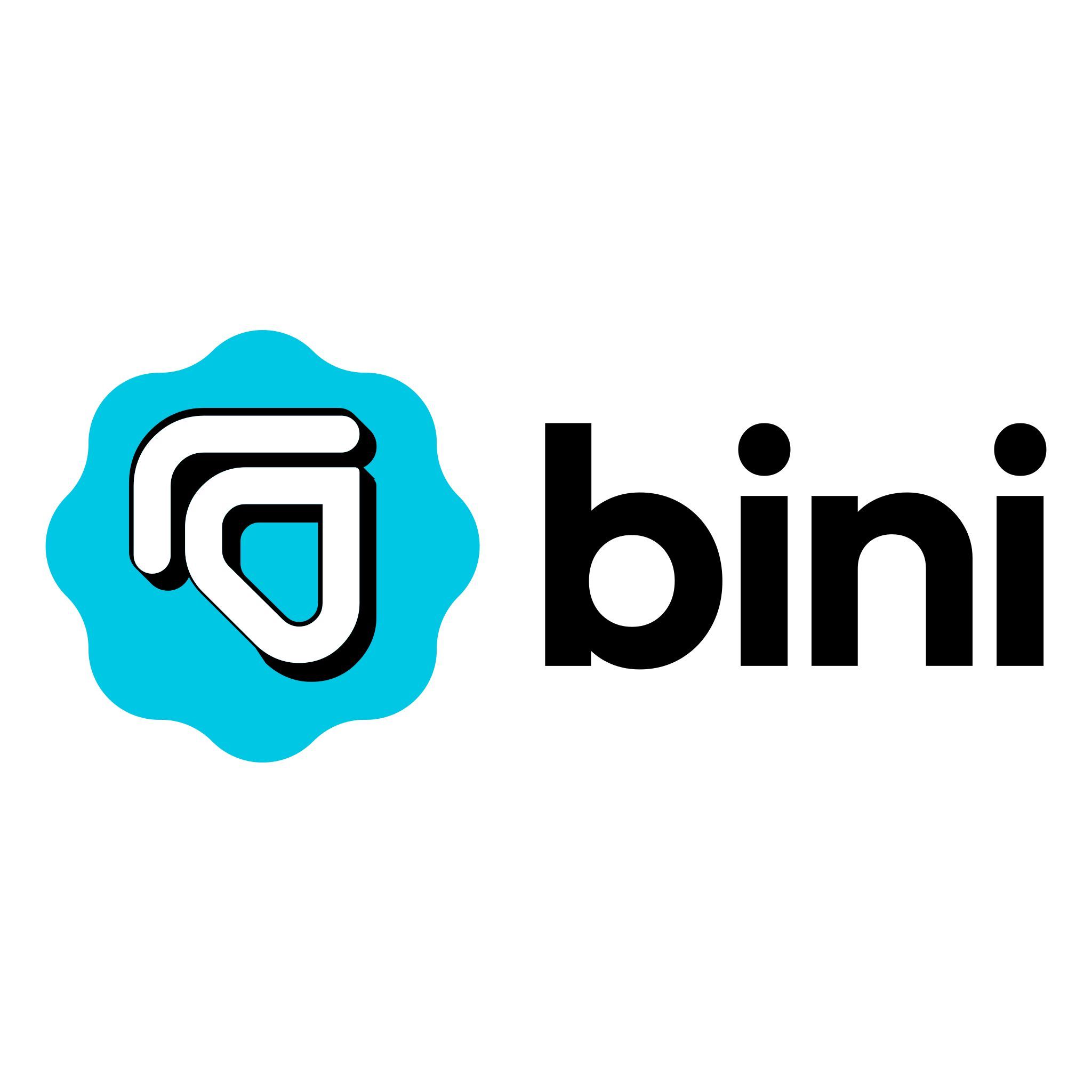 Bini Logo & Brand Assets (SVG, PNG and vector) - Brandfetch